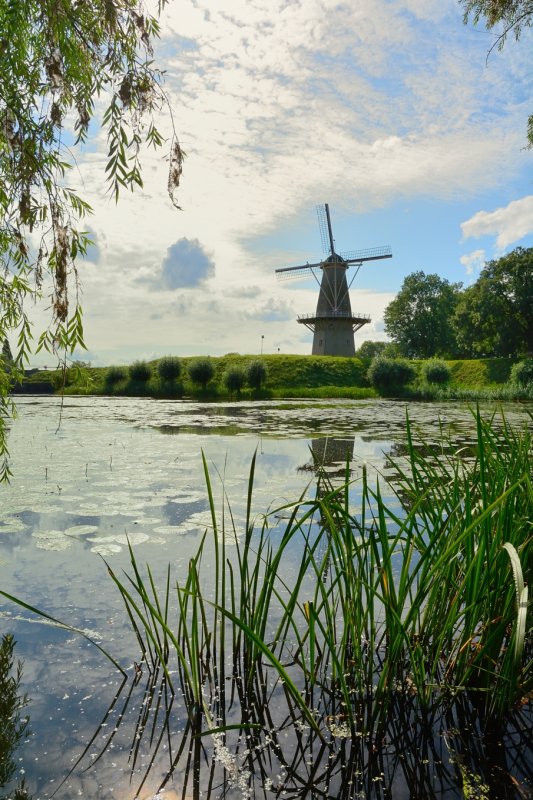 Holland – Cultural Treasures & the Art of the Dutch and Flemish Masters ...